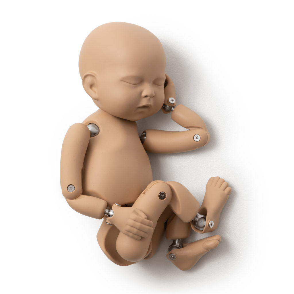 Buy StandInBaby - StandInBaby®